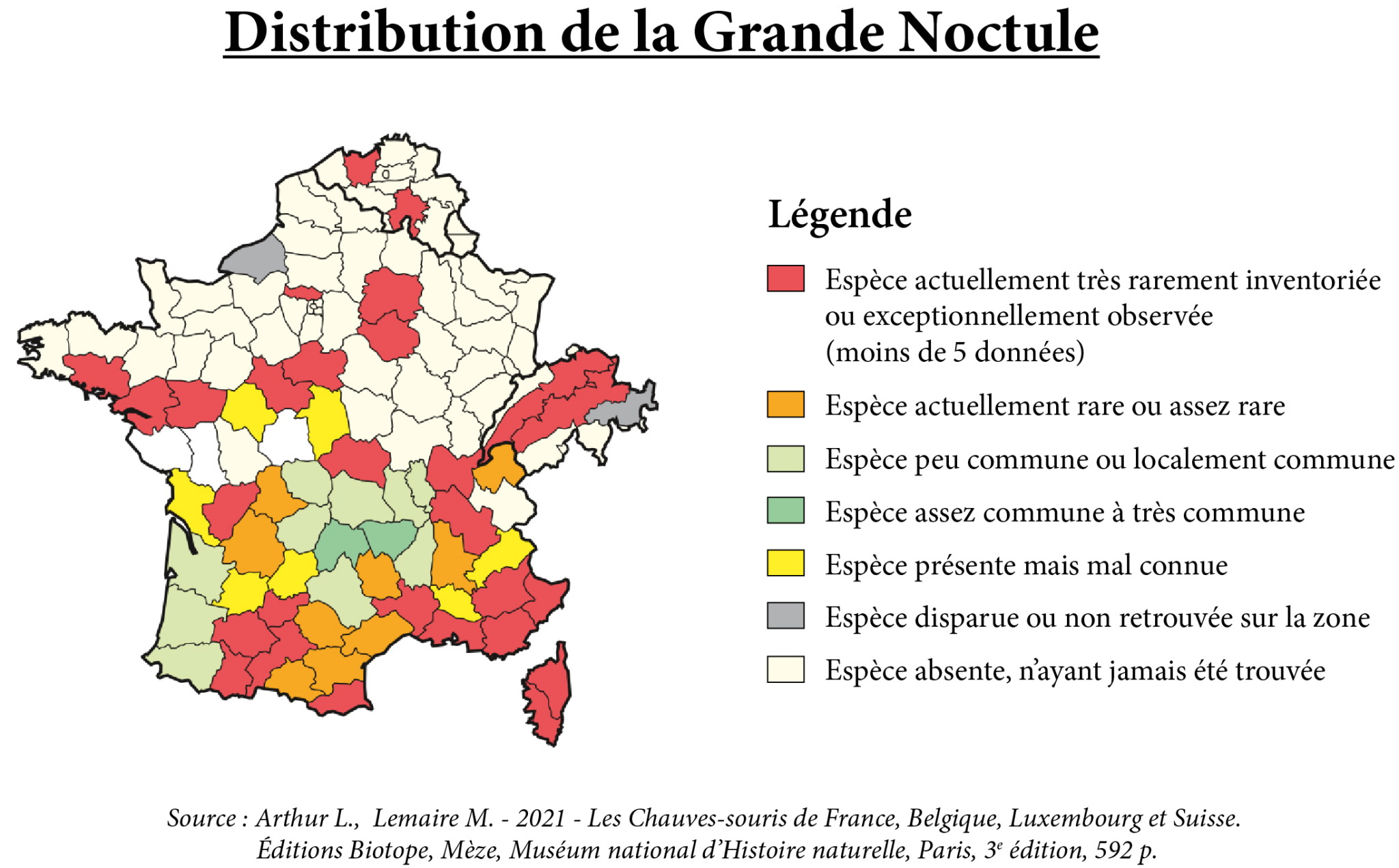 Grande Noctule - Plan National d'Actions en faveur des Chiroptères
