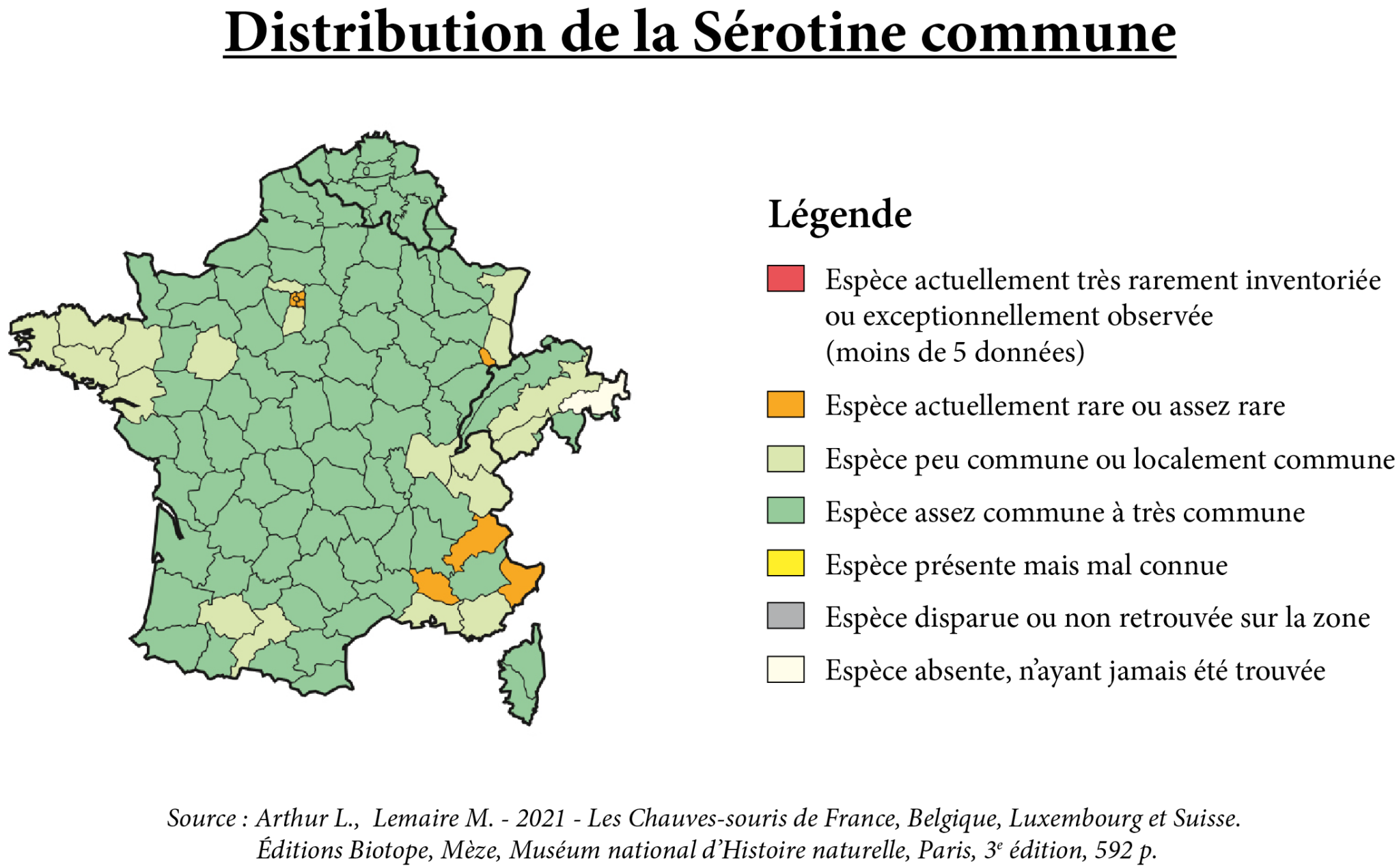 Sérotine commune - Plan National d'Actions en faveur des Chiroptères